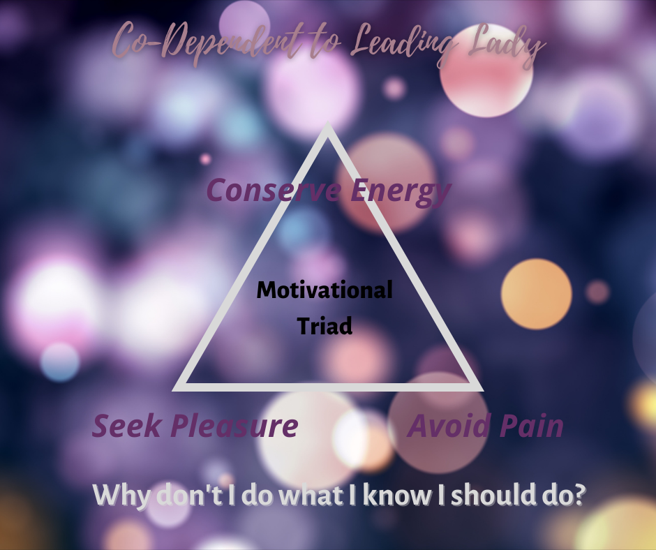 Why don’t I do what I know I should do? – Angela Dryden Life Coach